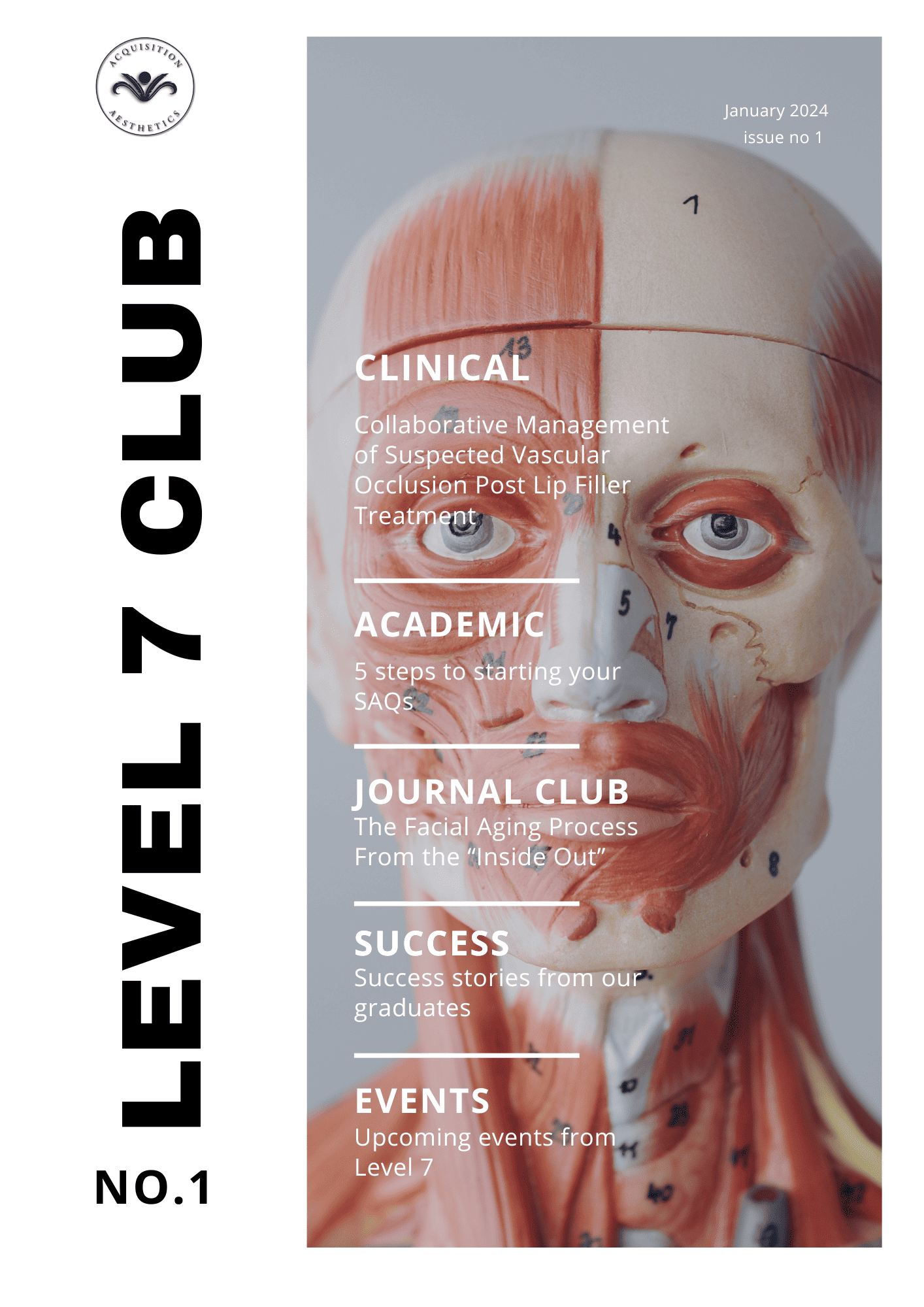 Issue No.1 - Acquisition Aesthetics