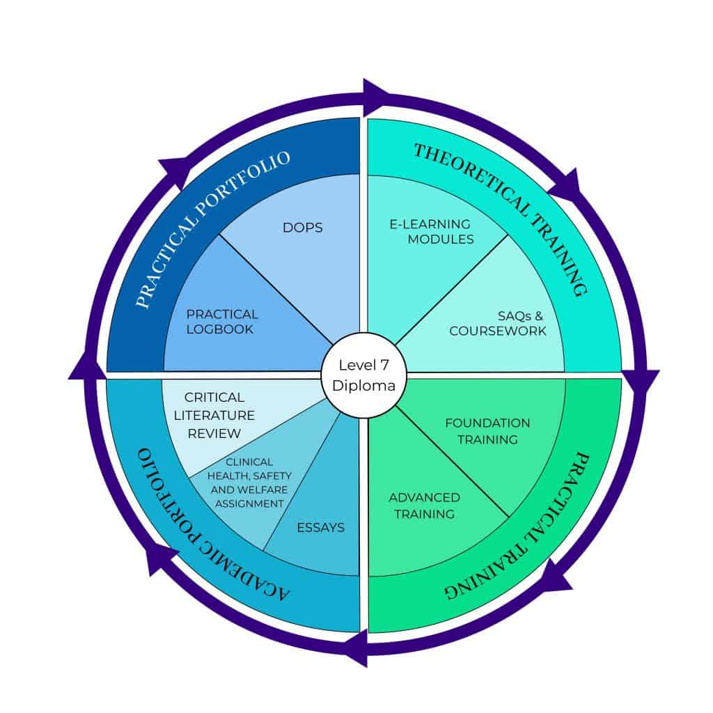 Your Level 7 journey - Acquisition Aesthetics
